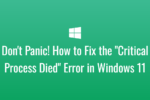Don't Panic! How to Fix the "Critical Process Died" Error in Windows 11 ...