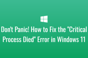 Don't Panic! How to Fix the "Critical Process Died" Error in Windows 11 ...